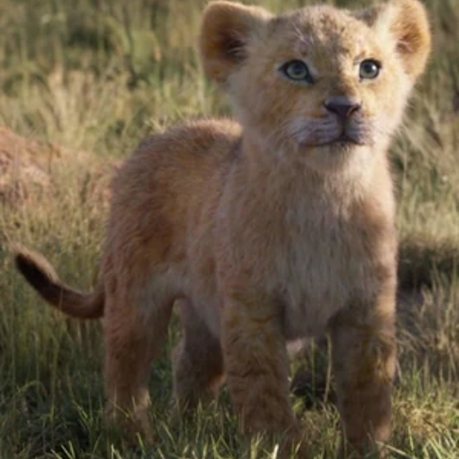 Young Nala {The Lion King 2019} AI Voice Generator | Jammable AI Covers