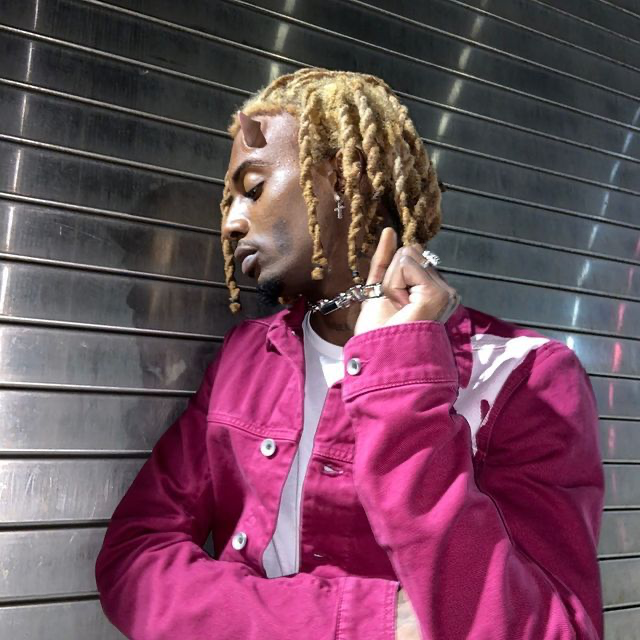 Playboi Carti WLR V2 (BEST VERSION) AI Voice Generator | Jammable AI Covers