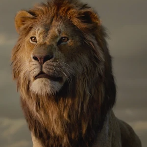 Adult Simba {The Lion King 2019} AI Voice Generator | Jammable AI Covers